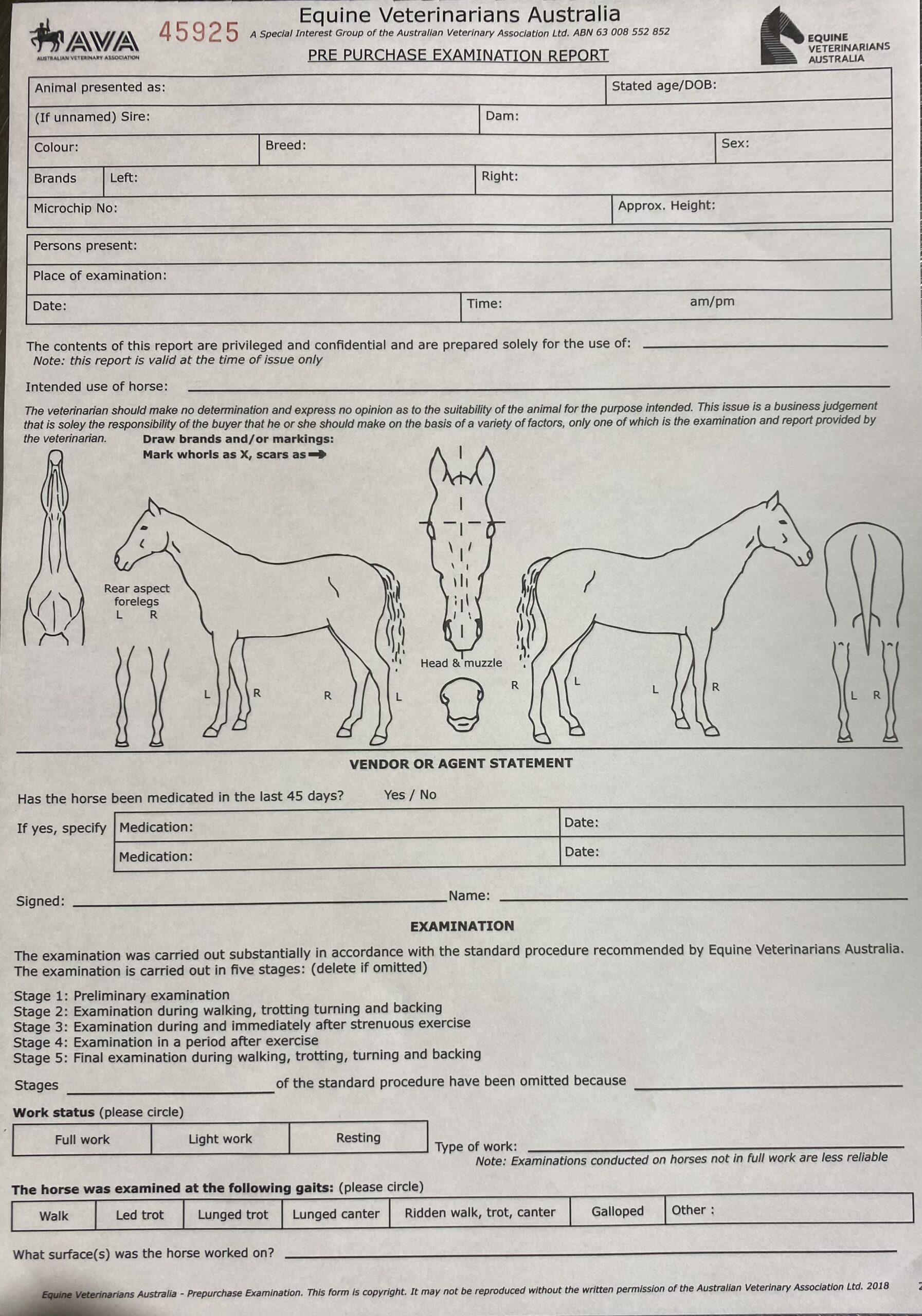 Pre-purchase Examinations - Welcome To Belvoir Equine Hospital